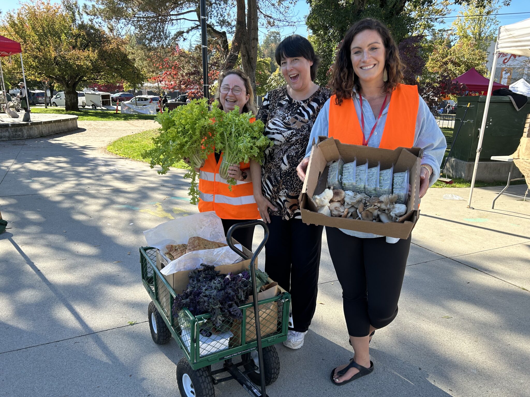 Food Hub – Little Mountain Neighbourhood House Society